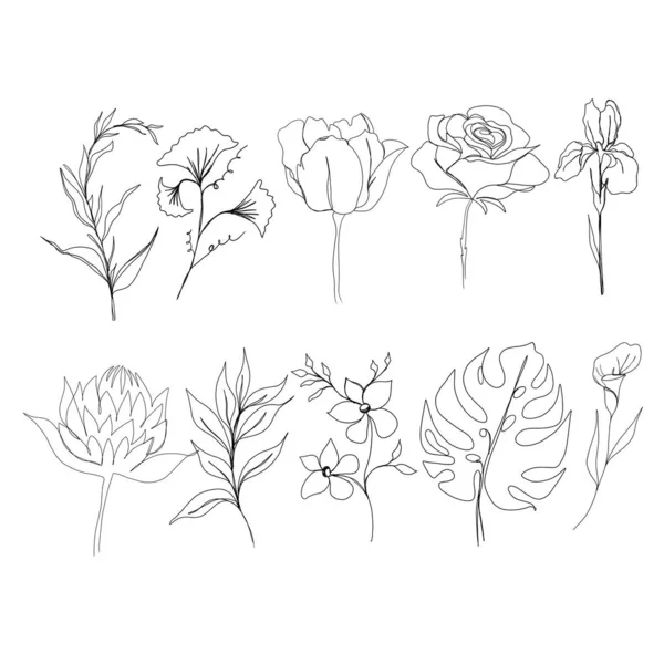 large set of plants and flowers line art . Editable line. minimalism ...