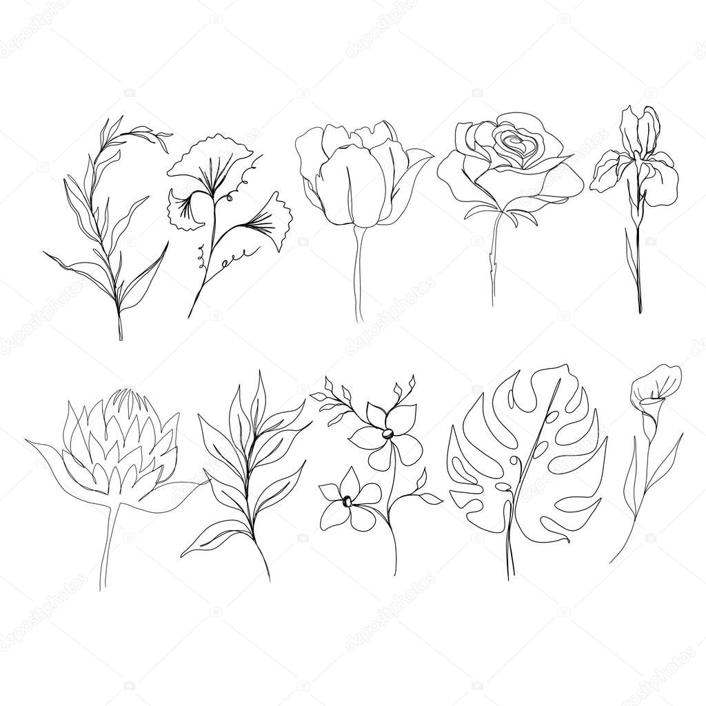 gran conjunto de plantas y flores línea de arte. Línea editable. boceto ...