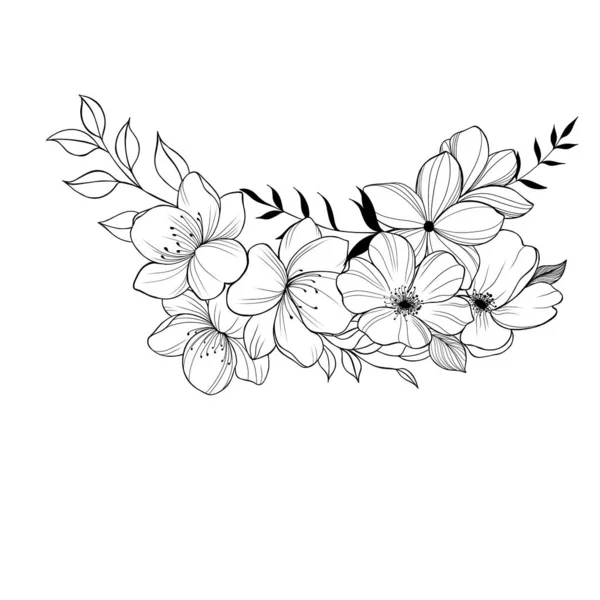 Flowers Periwinkle Hand Drawing Outline White Background Beautiful ...