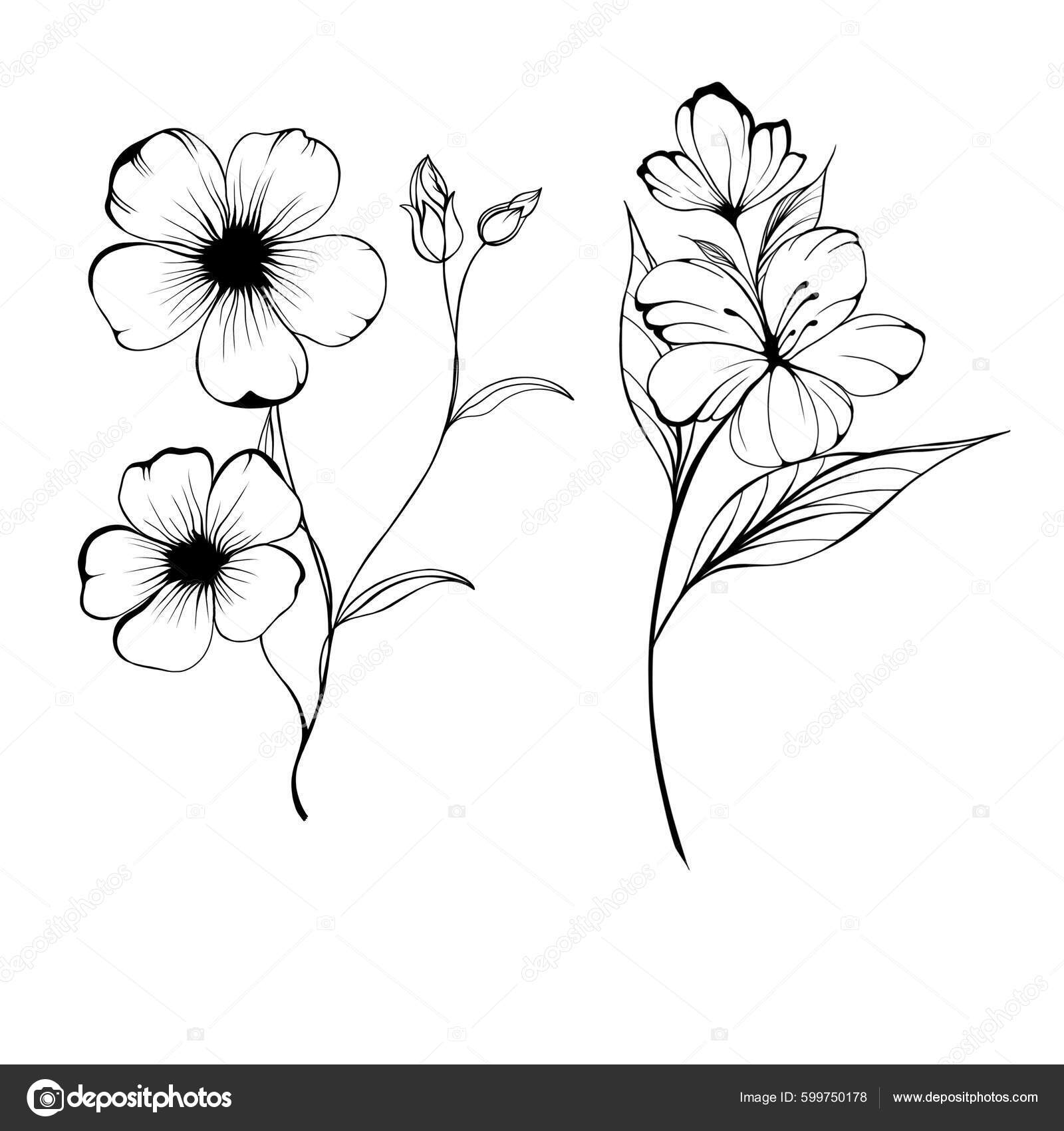 Black And White Flower Designs For Cards