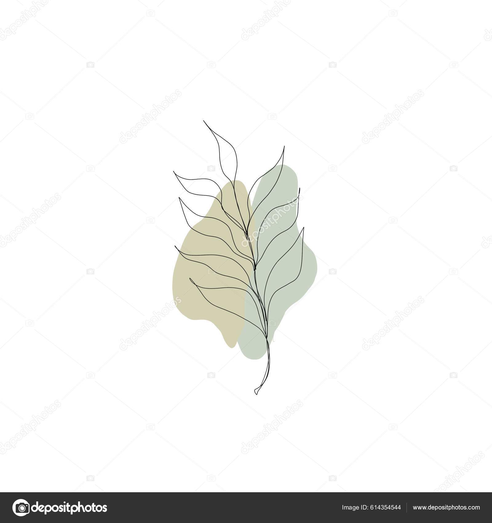 Minimalistic Line Drawing Leaf Line Art Botanical Drawing Illustration ...