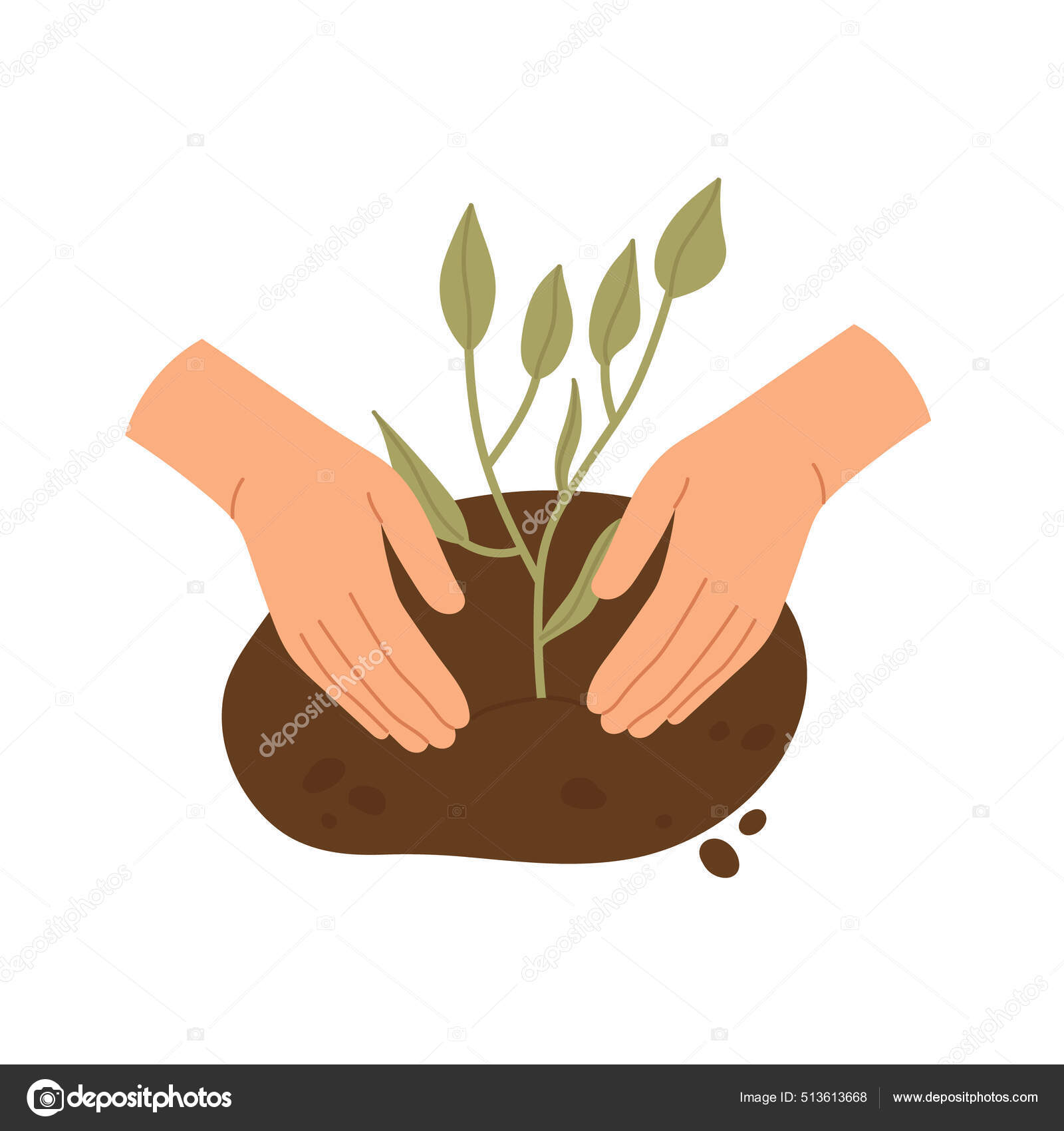 View Hands Planting Plant Planting Process Home Gardening Horticulture ...