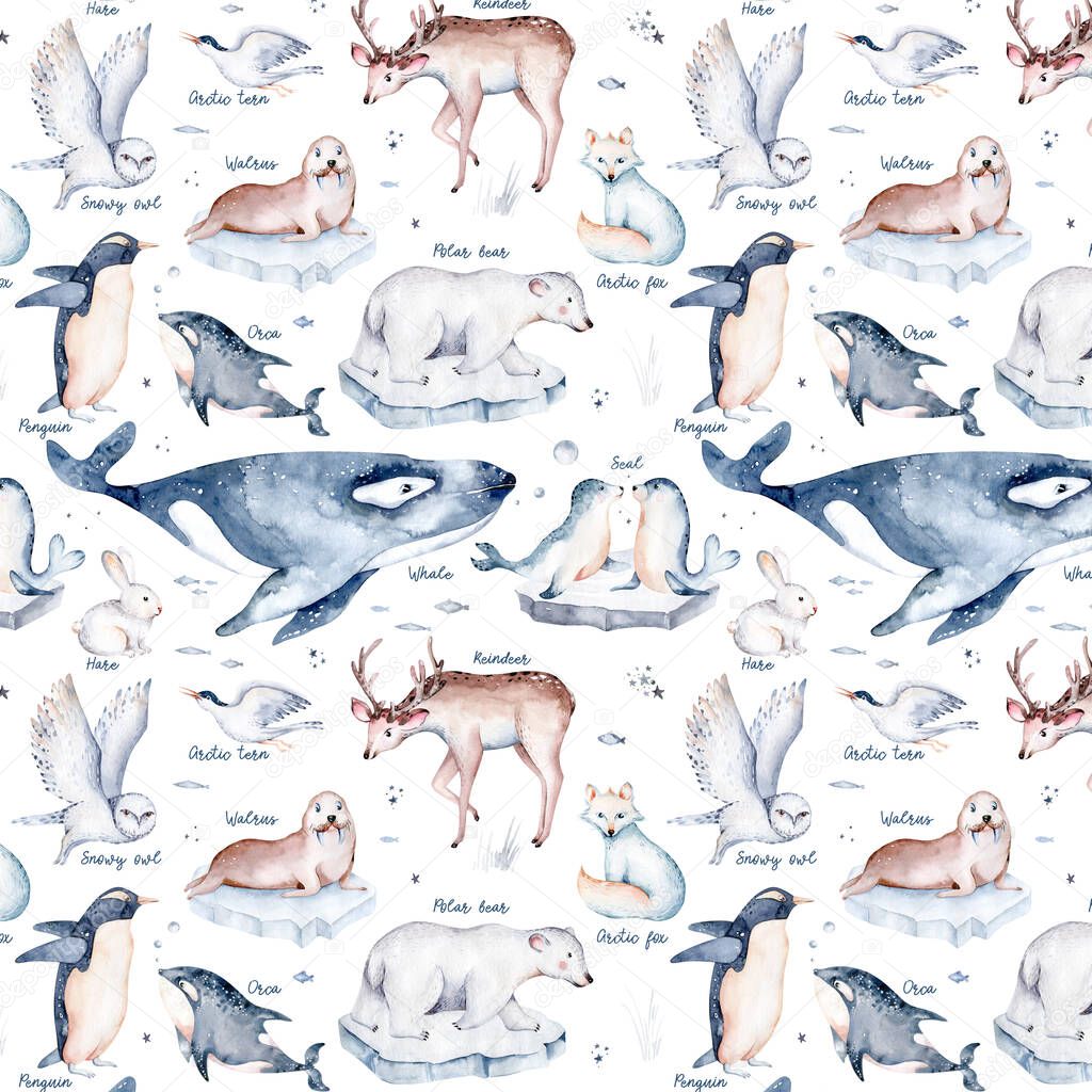 animales polares colecciones de acuarela. búho nevado. renos. Oso polar ...