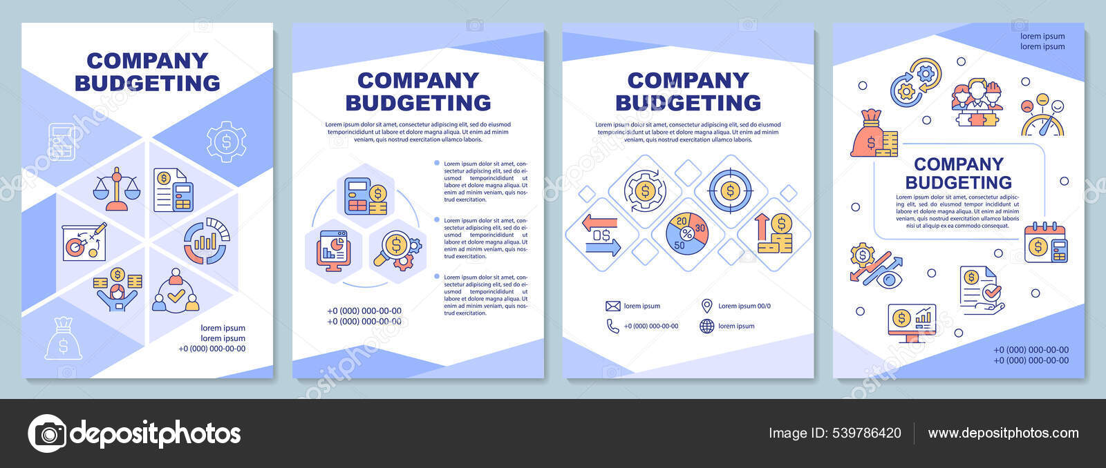 Company Budgeting Brochure Template Financial Projection Booklet Print ...