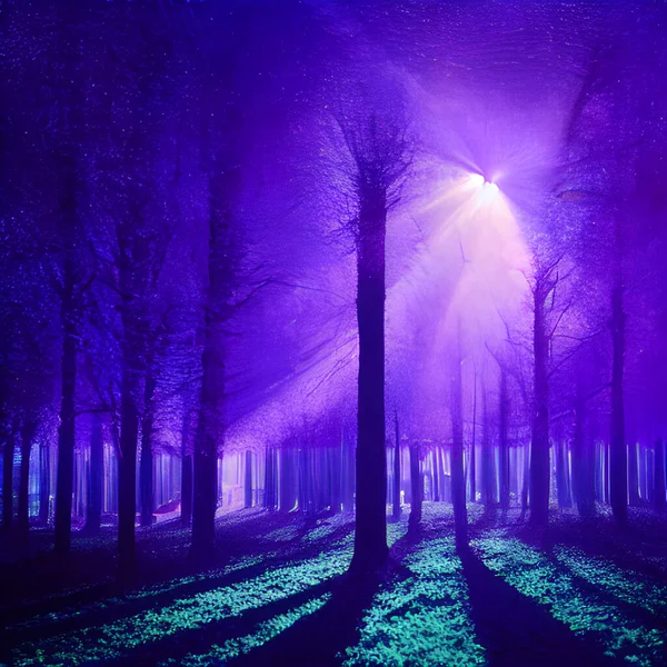 Purple forest Images - Search Images on Everypixel