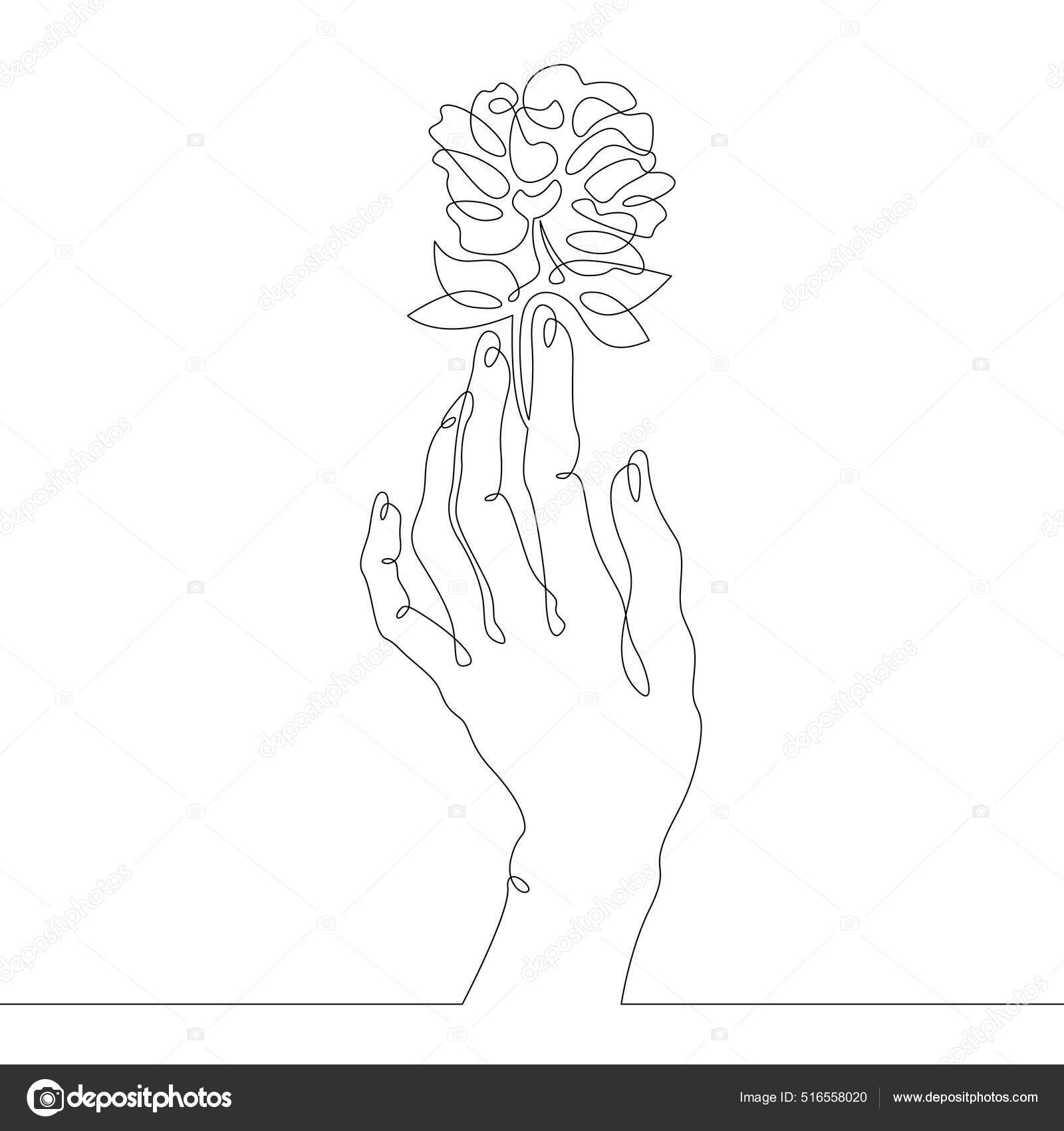 One Continuous Line One Continuous Drawing Line Logo Isolated Minimal ...