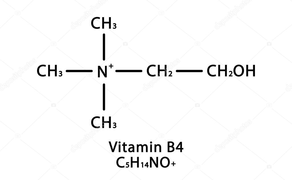 Vitamina B4 Estructura molecular de la colina. Vitamina B4 Formula ...