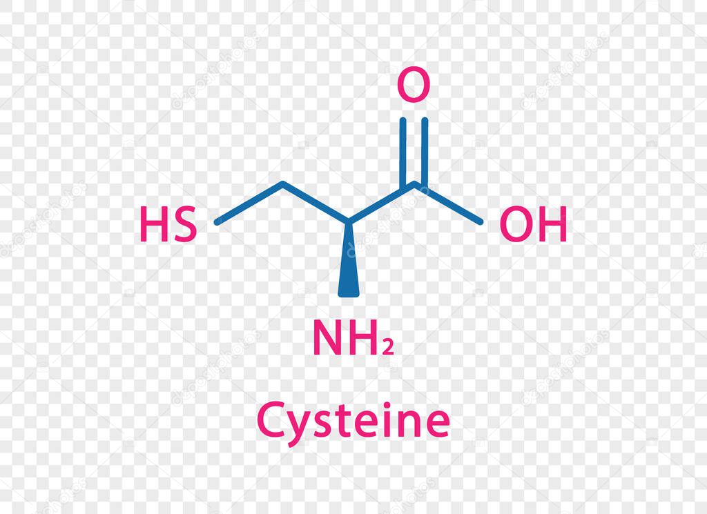 Cysteine chemical formula. Cysteine structural chemical formula ...