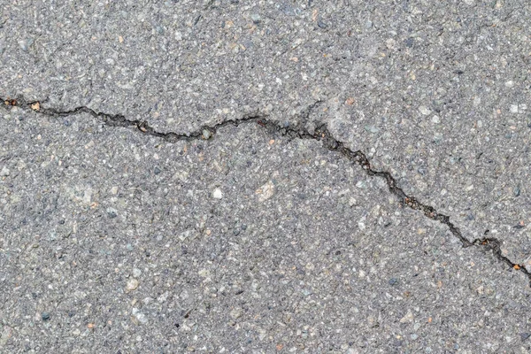 Seattle earthquake Stock Photos, Royalty Free Seattle earthquake Images ...