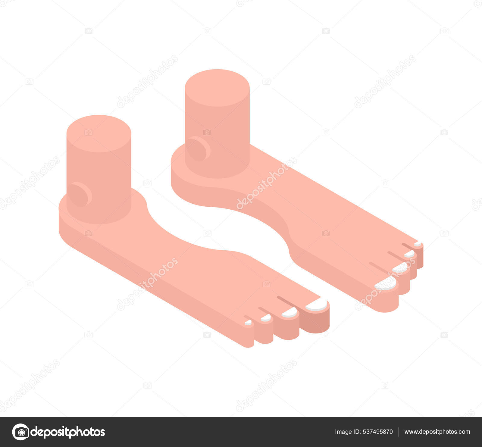Feet Isometric Isolated Toes Vector Illustration Two Legs Stock Vector ...