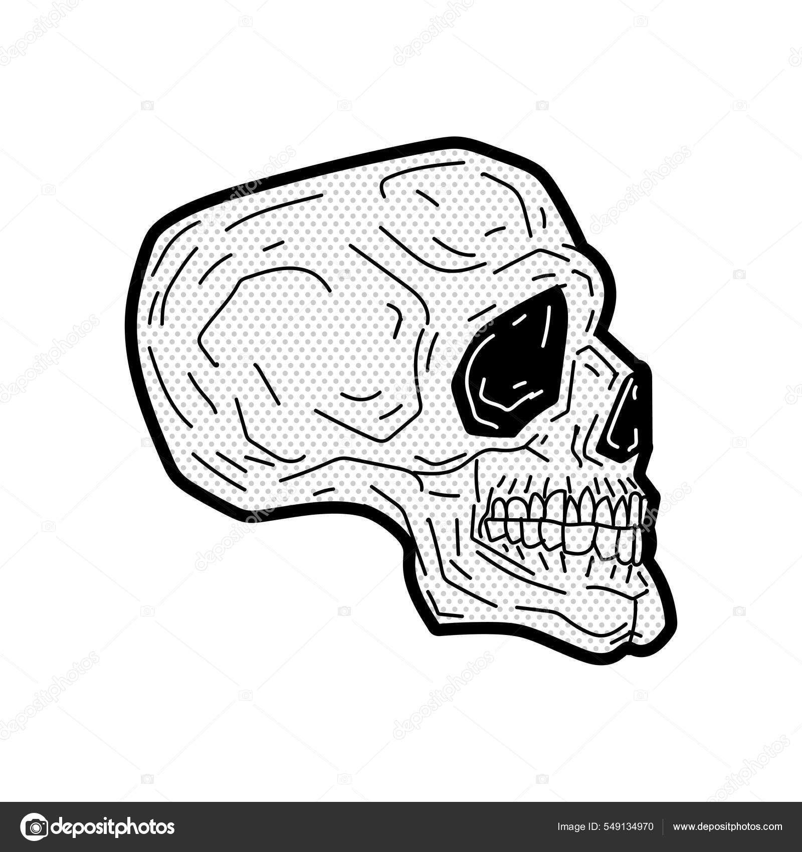 Image vectorielle Pop Art Crâne Tête Squelette Isolée Illustration ...