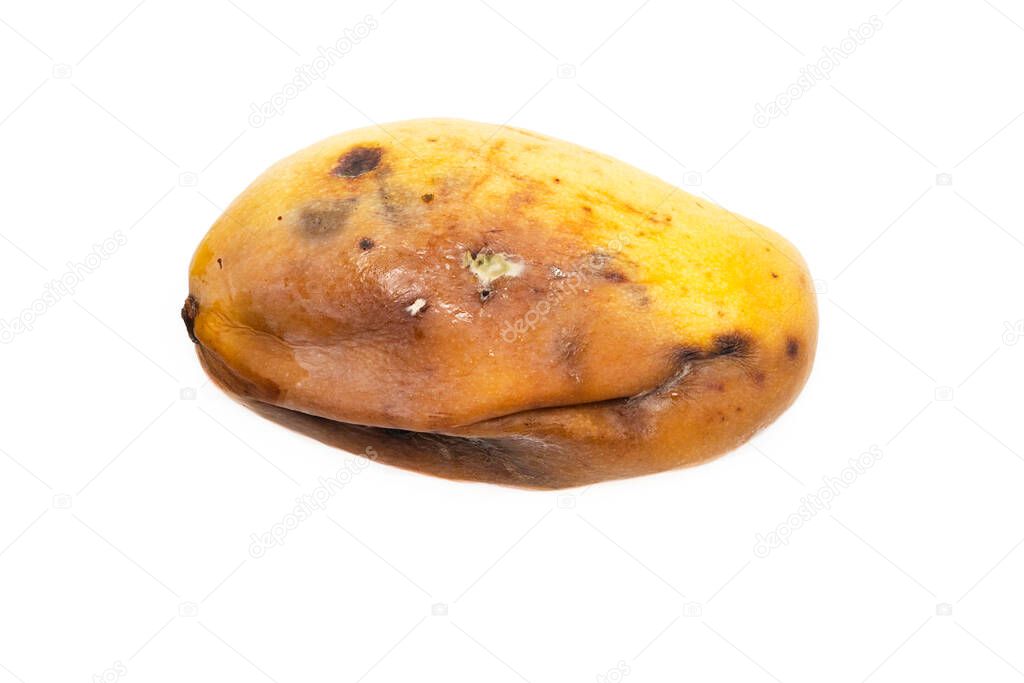 Un mango amarillo podrido aislado sobre un fondo blanco. Fruta mohosa ...