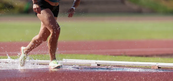 Steeplechase Stock Photos, Royalty Free Steeplechase Images | Depositphotos