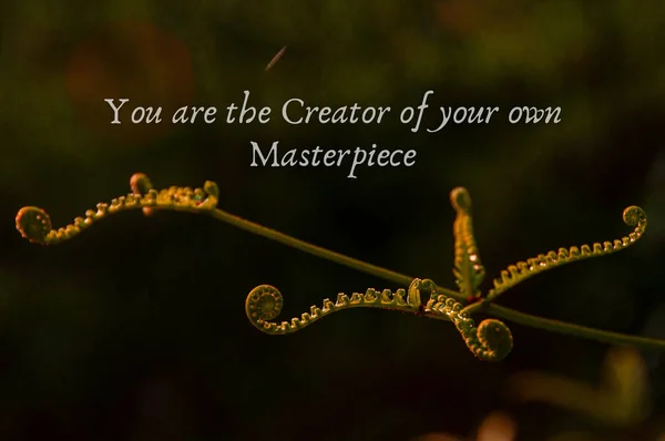 Motivational and inspirational quote - You are the creator of your life ...