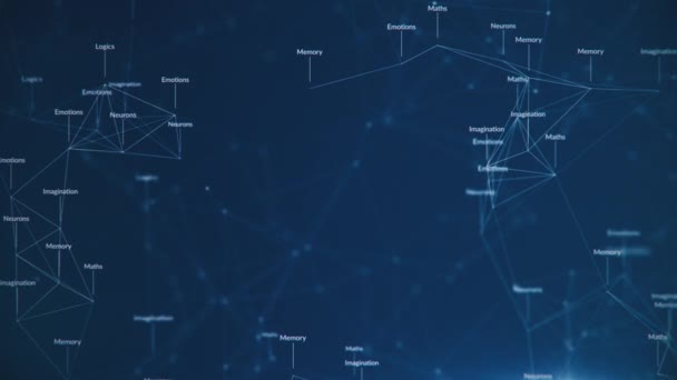 17 Esquema sistema nervioso Videos, Royalty-free Stock Esquema sistema ...