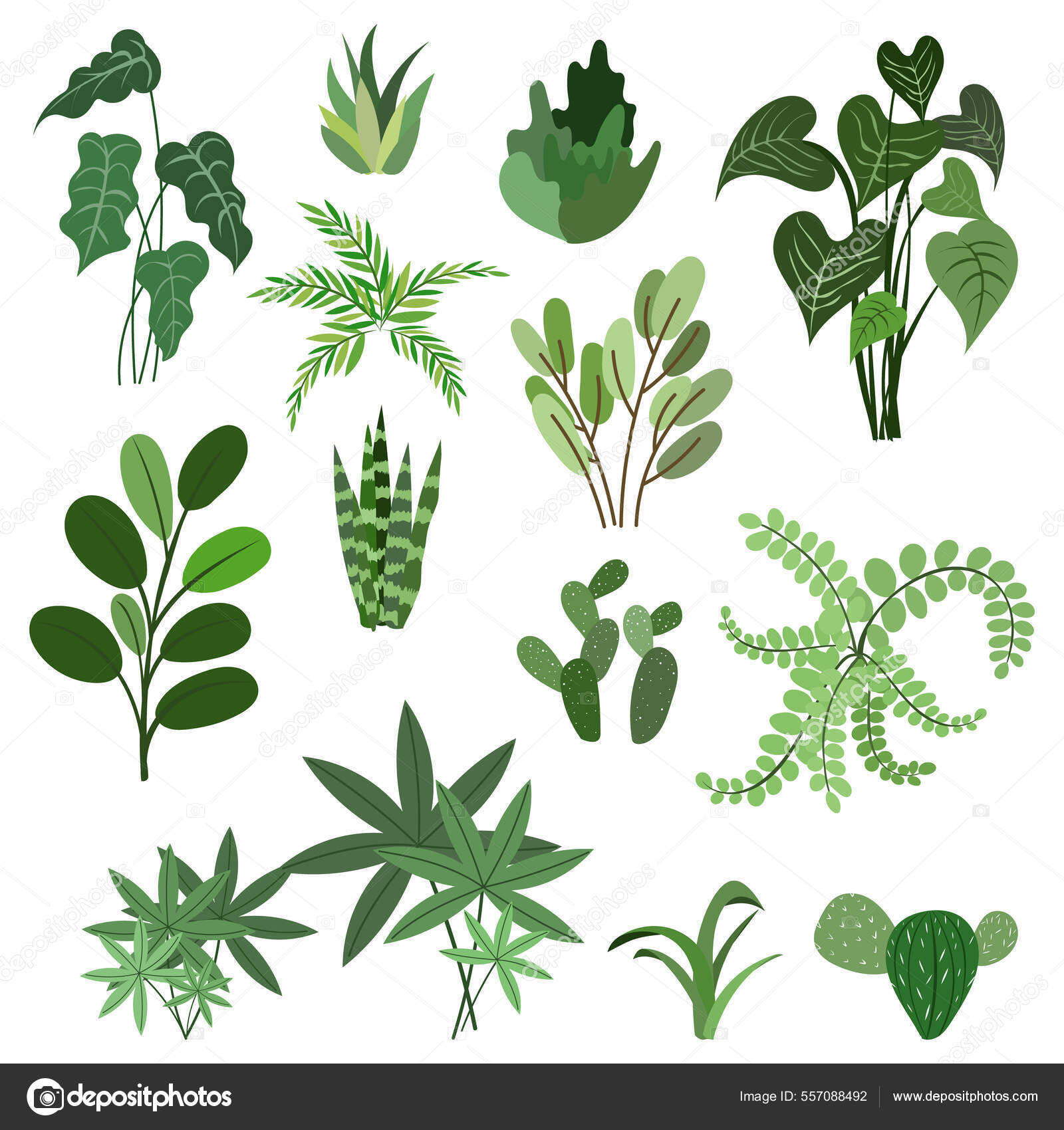 Set Plants Indoor Pots House Vector Isolated White Background Flat Stock Vector by ©NARANAT ...
