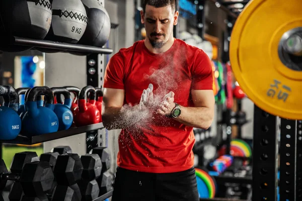 Bodybuilder in shell Stock Photos, Royalty Free Bodybuilder in shell ...