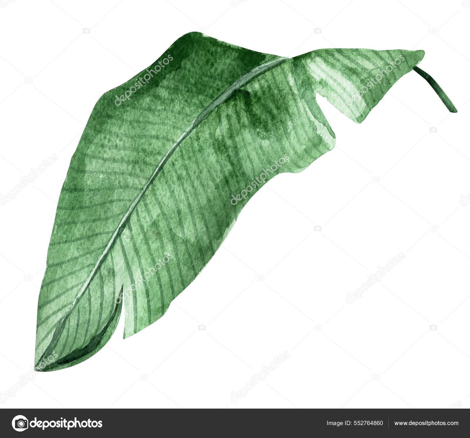 Banana Tree Leaves Template