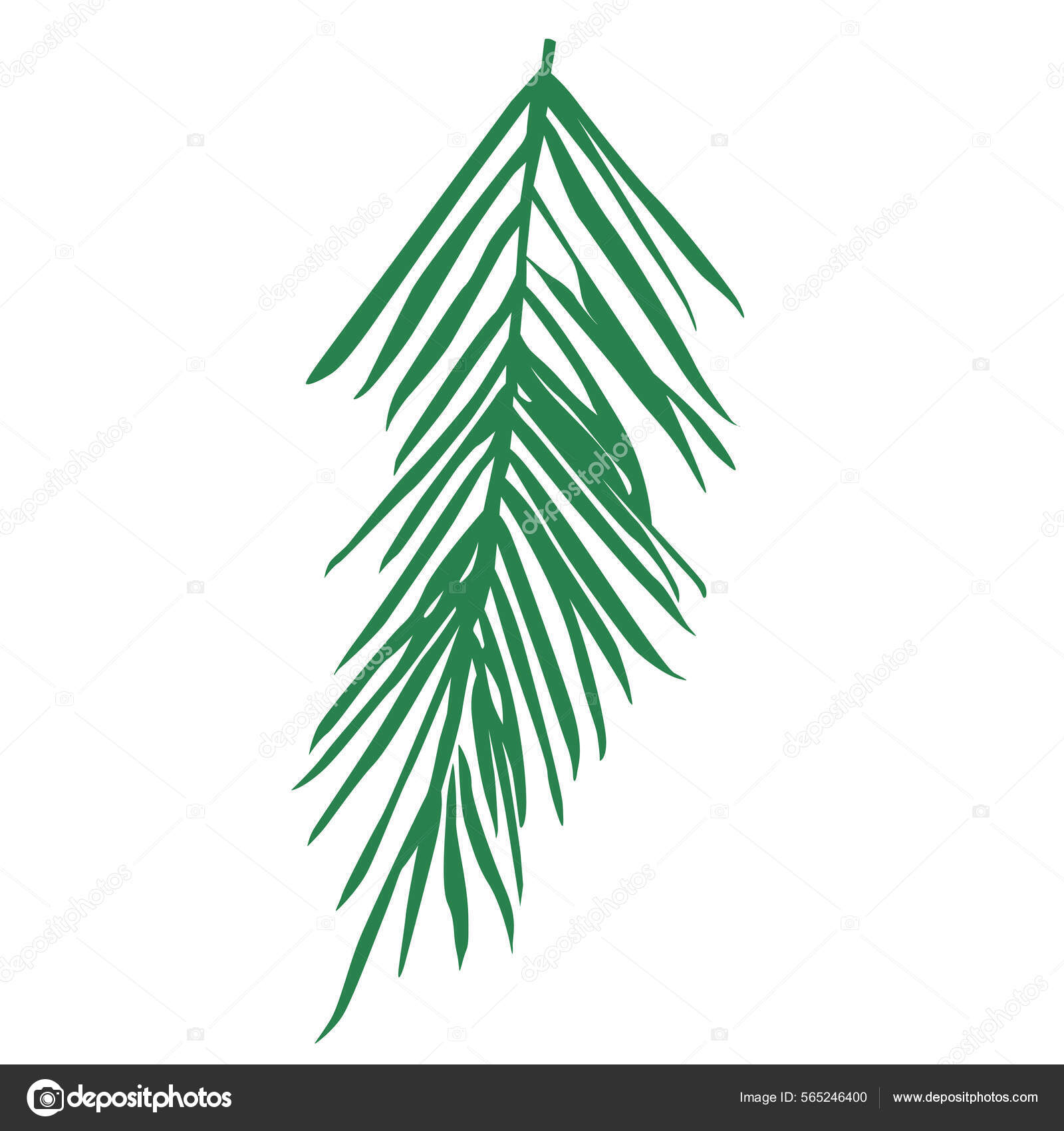 Branch Vector Single Element Stock Vector by ©KaterinaHol 565246400