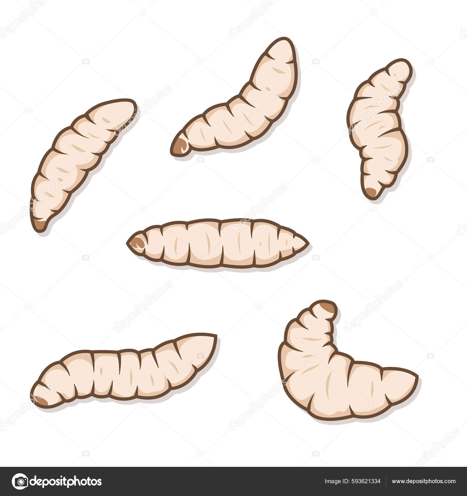 Illustrations Maggots Worms Isolated White Background Stock Vector ...