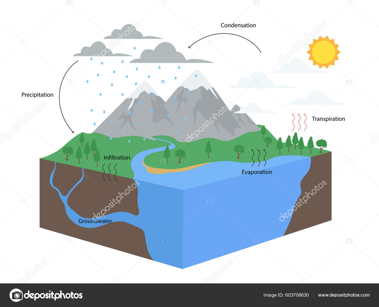 Hydrosphere Cycle