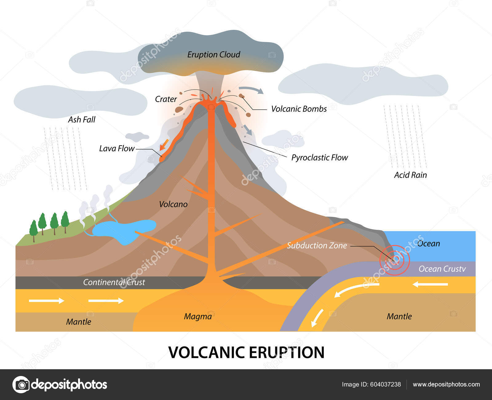 Volcanic Eruption Process Structure Geological Side View Vecteur par ... Volcanic Eruption Process Structure Geological Side View Vecteur par ...