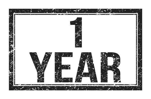 1st year Stock Photos, Royalty Free 1st year Images | Depositphotos