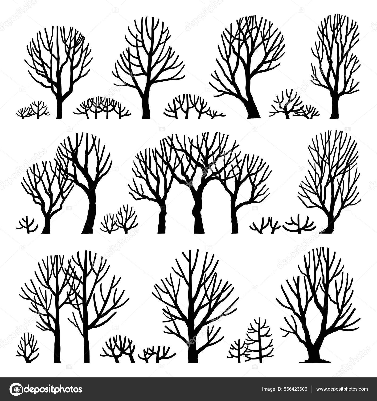 Hand Drawn Vector Set Side View Trees Stock Vector by ©JeedChatt 566423606