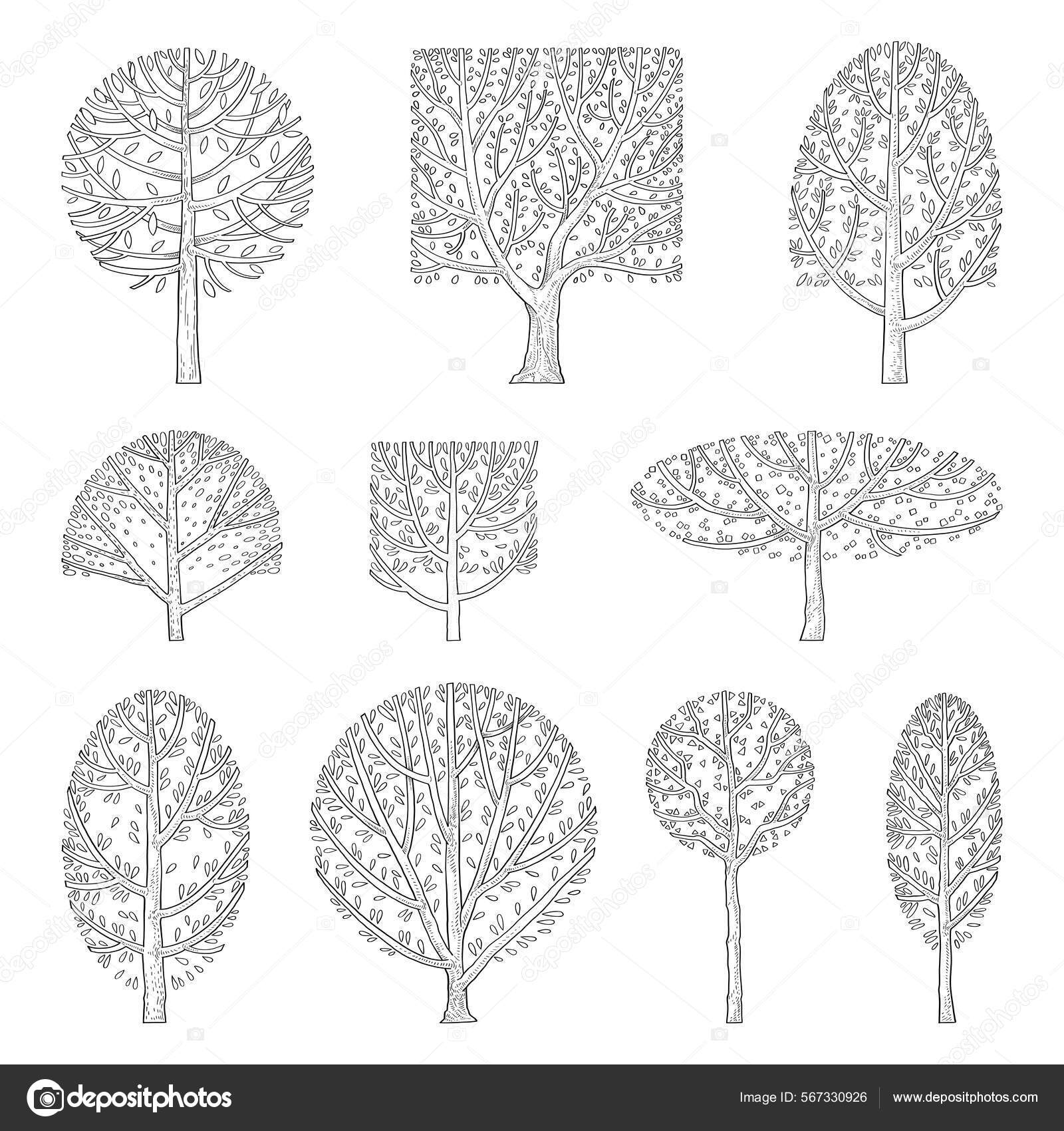 Hand Drawn Vector Set Side View Trees Stock Vector by ©JeedChatt 567330926