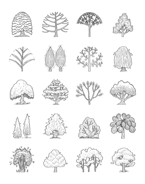 Hand Drawn Vector Set Side View Trees Stock Vector by ©JeedChatt 567330926