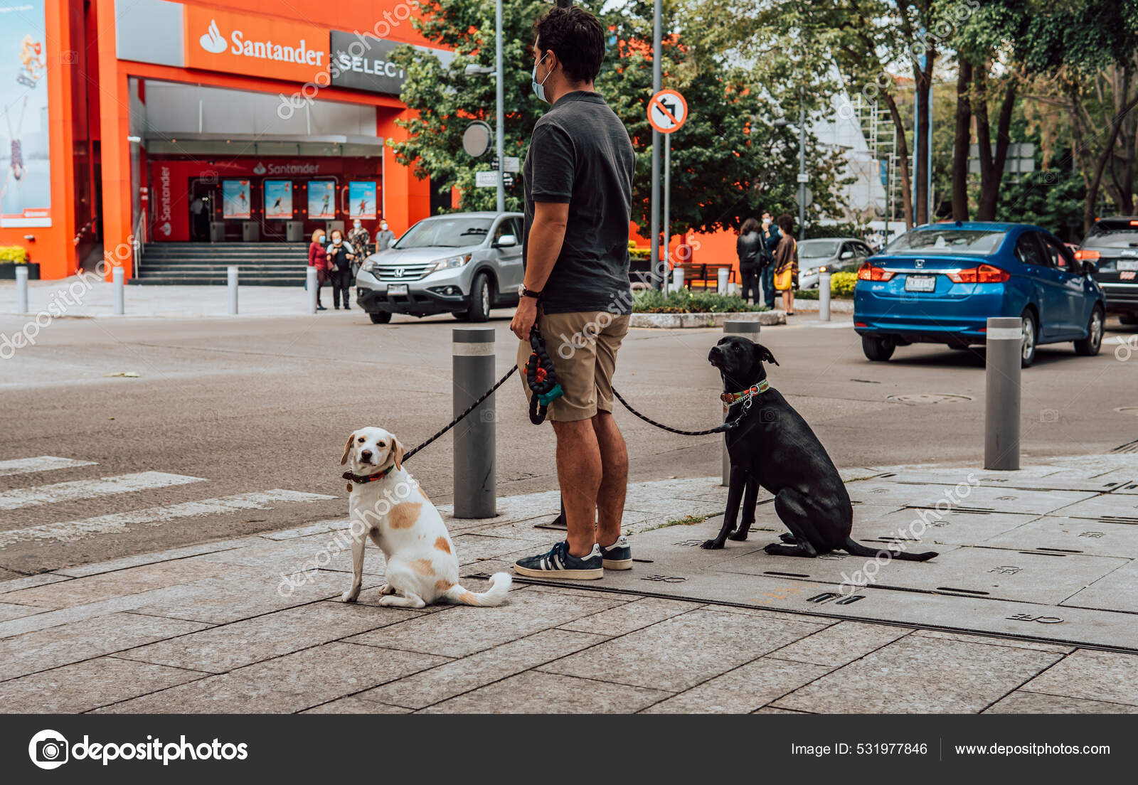 Polanco México Agosto 2021 Fotografía Callejera Joven Paseando Sus ...