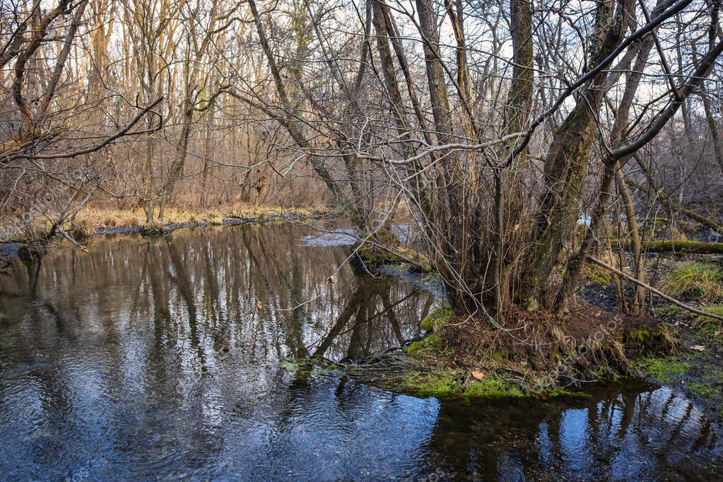 Humedal del r o Ticino, cerca del pueblo de Cameri (Provincia de Novara ...