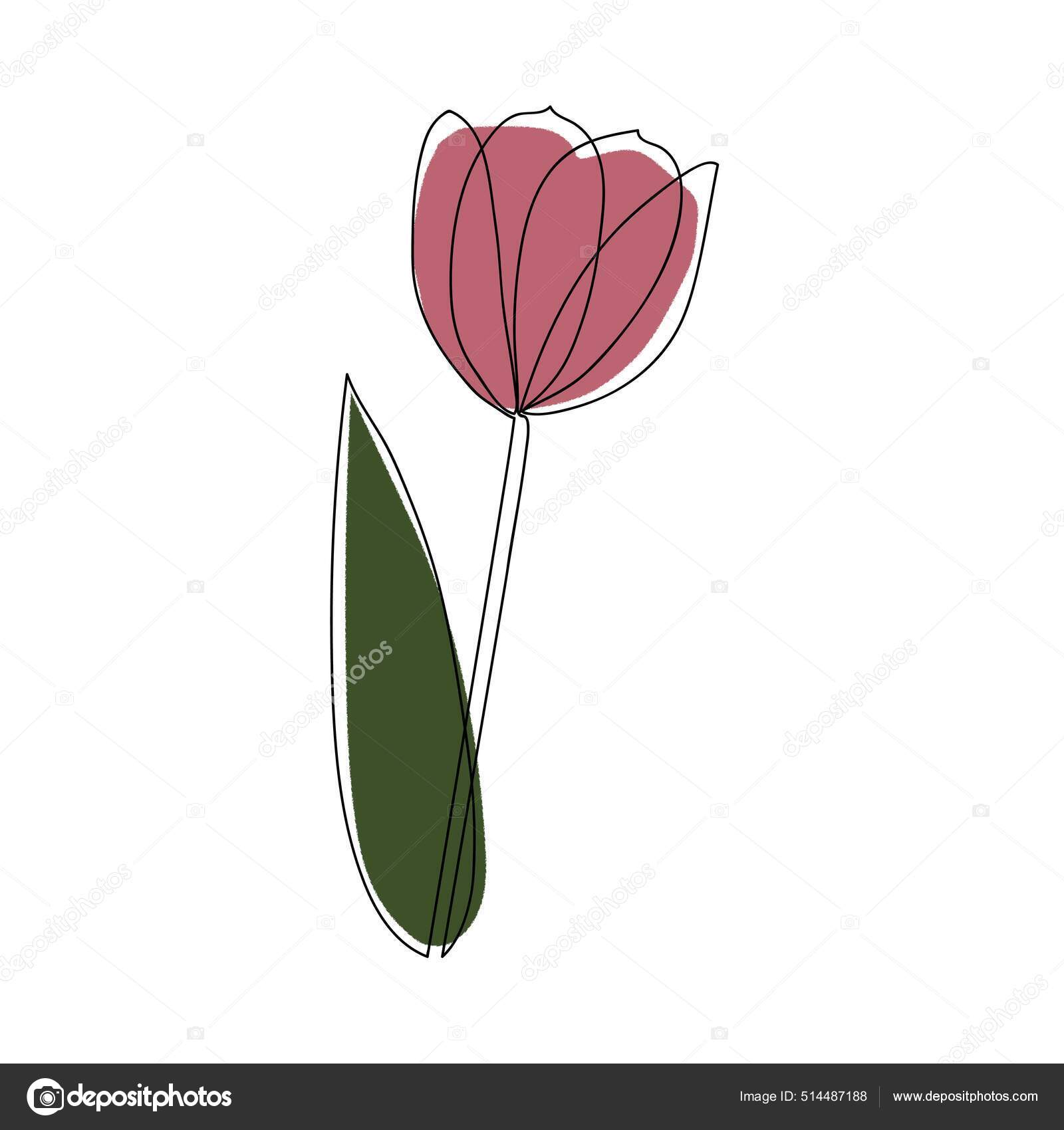 One Line Draw Tulip Floral Continuous Line Art Hand Drawn Stock Vector ...