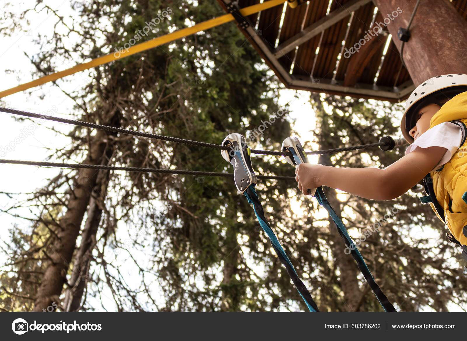 Low Angle View Child Attaching Safety Harness Zip Line Canopy Stock ...
