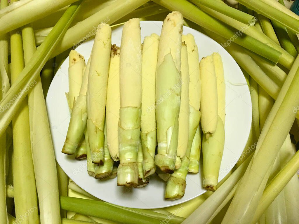 Saccharum edule, también conocido como terubuk, duruka, Fiji espárragos ...