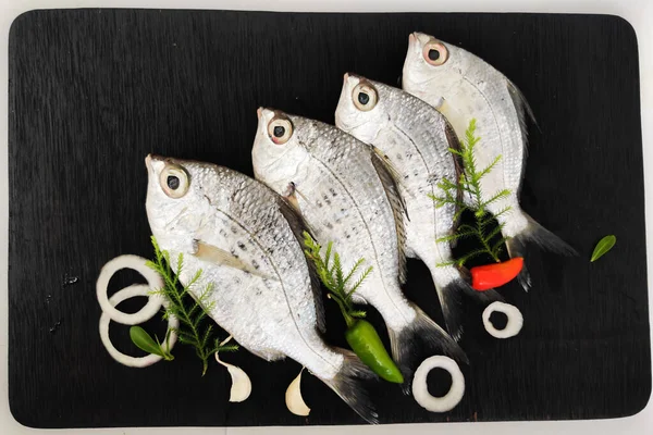 Gerres Fish (Gerres Filamentosus) Whipfin silver biddy Fish, Decorado ...