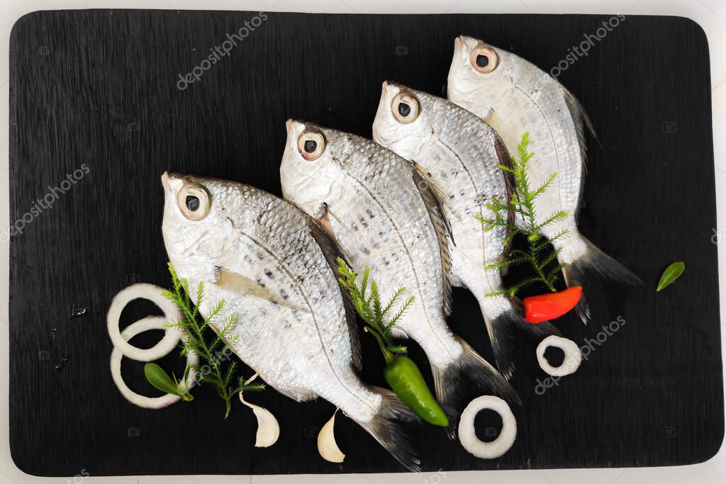 Gerres Fish (Gerres Filamentosus) Whipfin silver biddy Fish, Decorado ...