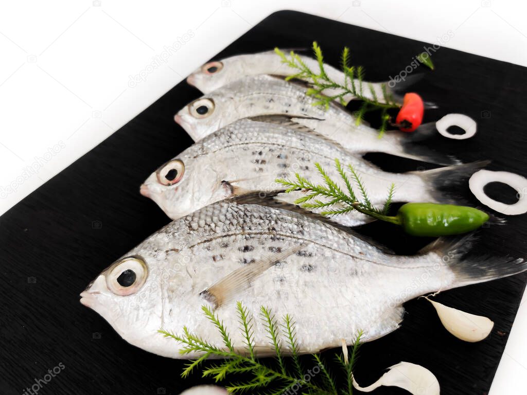 Gerres Fish (Gerres Filamentosus) Whipfin silver biddy Pescado ...