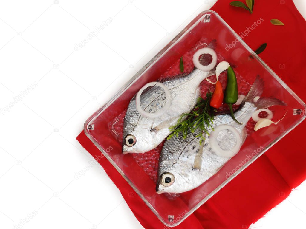 Gerres Fish (Gerres Filamentosus) Whipfin silver biddy Pescado ...