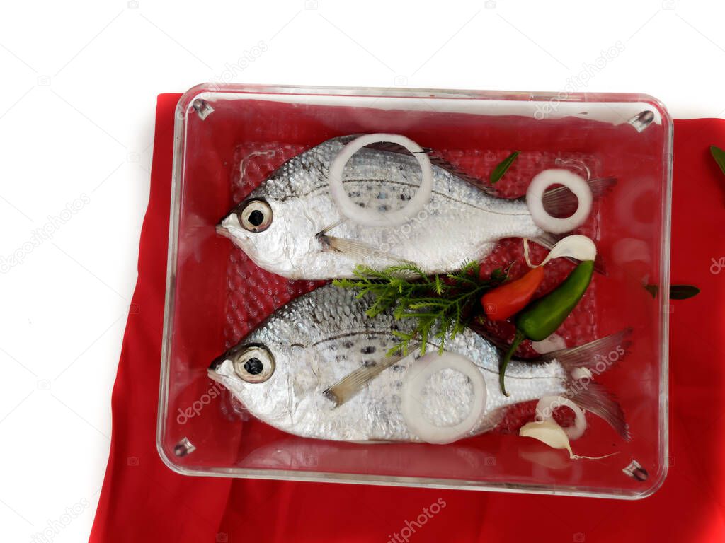 Gerres Fish (Gerres Filamentosus) Whipfin silver biddy Pescado ...