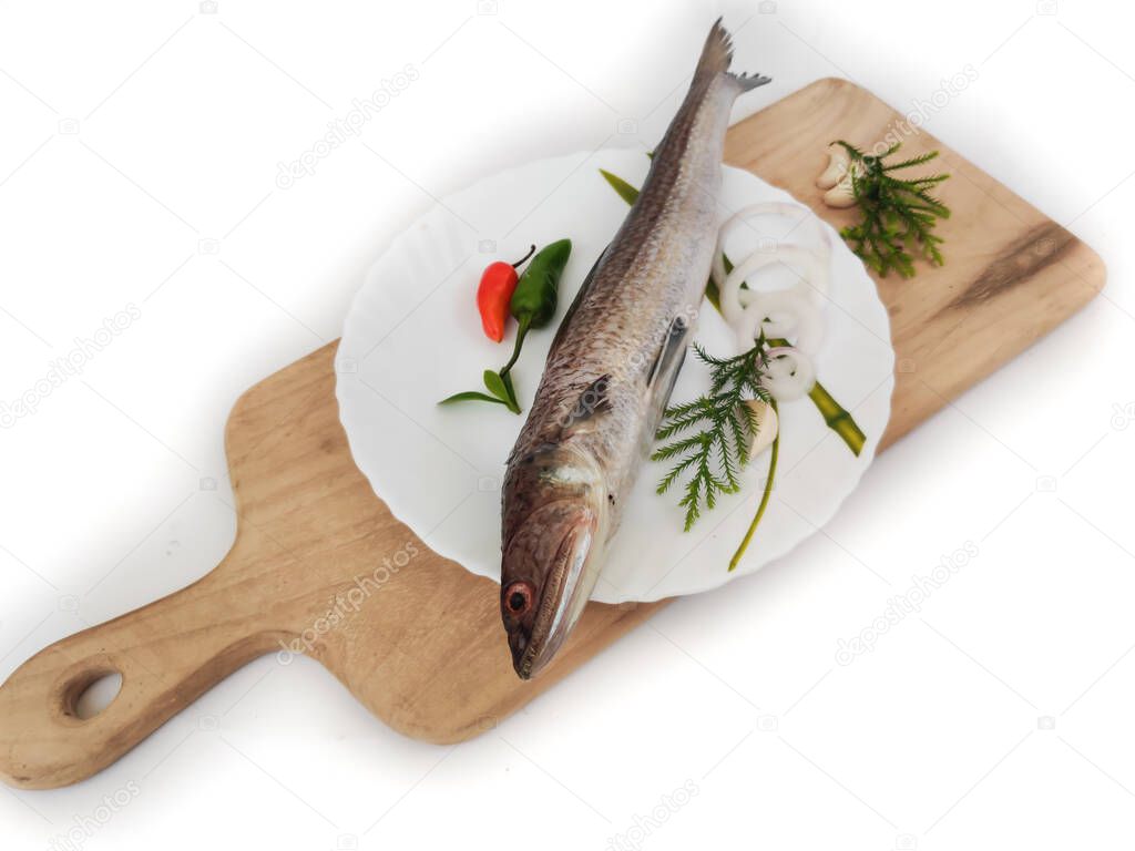 Pez lagarto mayor o wanieso saurida o Saurida tumbil decorado con ...