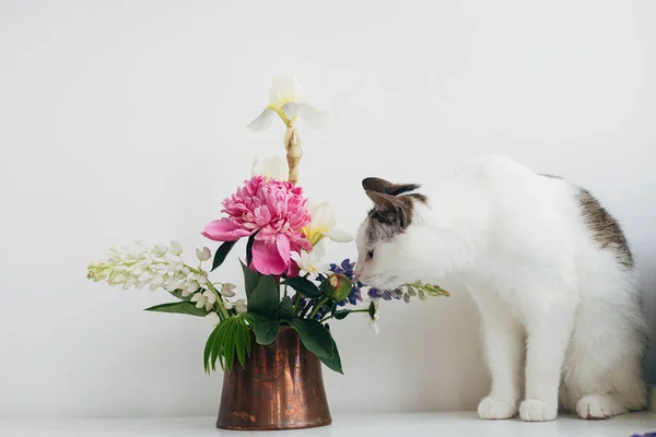 Cute cat smelling summer flowers bouquet in vintage vase on white table ...
