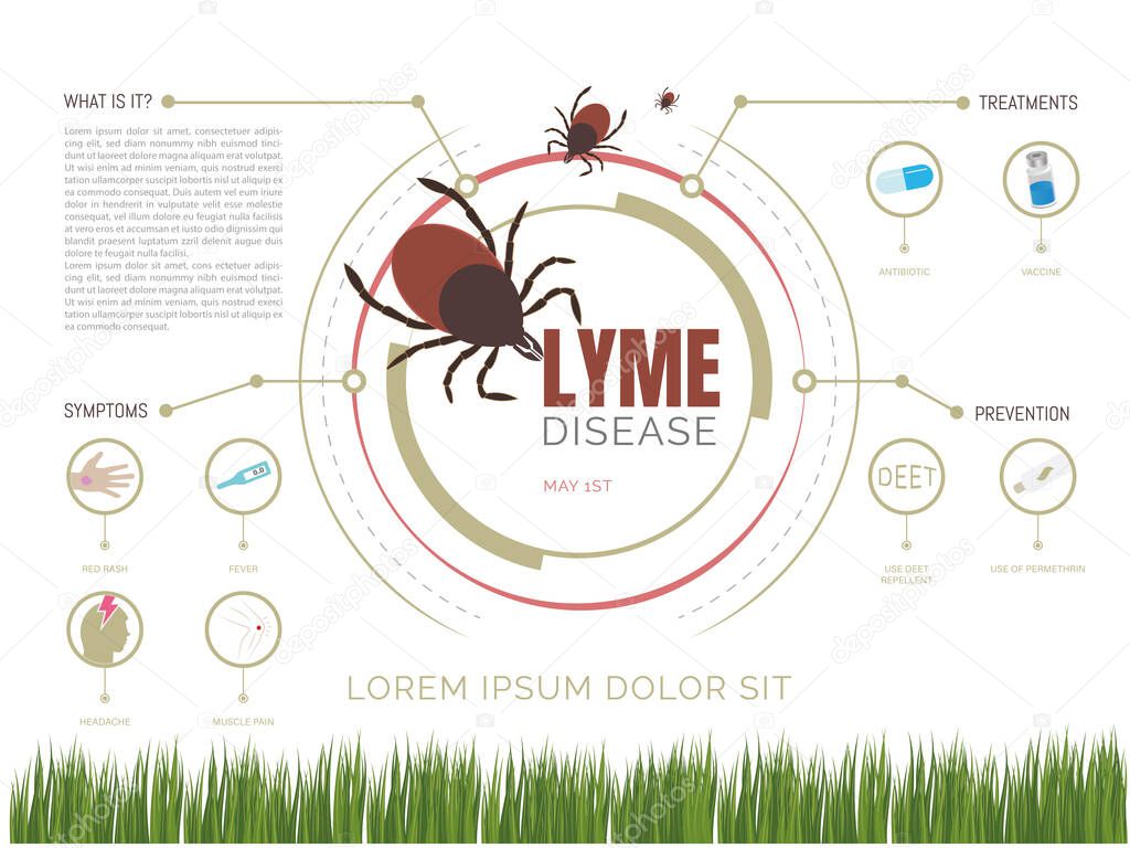 Enfermedad de Lyme infografía. Día Mundial de la enfermedad de Lyme que se contrae por la ...