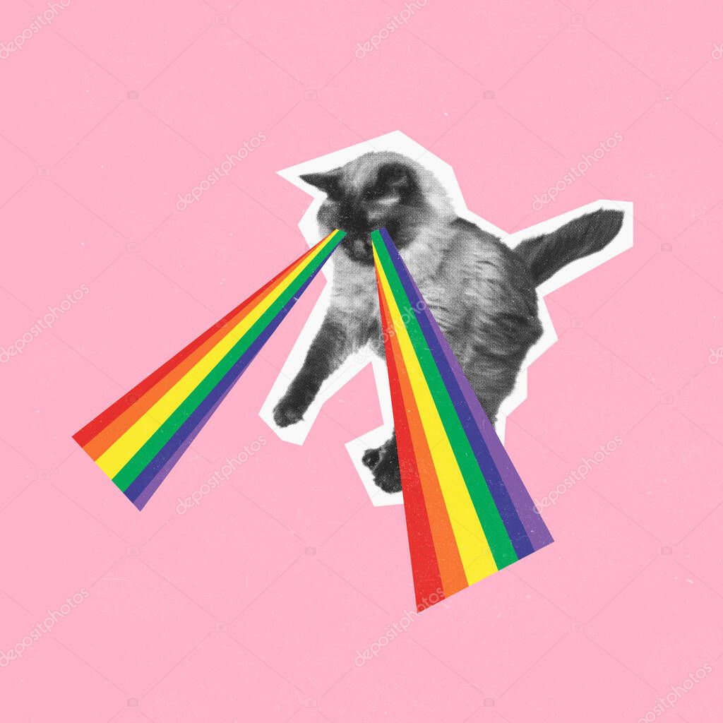 Contemporary art collage. Conceptual image. Cat with rainbow light from ...