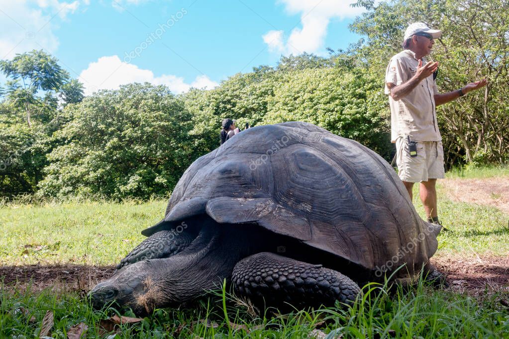 Islas Gal pagos, Ecuador - 15 de marzo de 2022: El Chato Gal pagos es ...