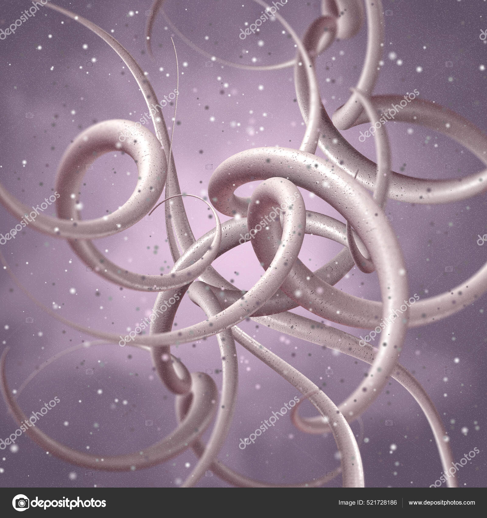 Medical Background Bacteria Spirilla Spirally Twisted Arcuate Curved ...