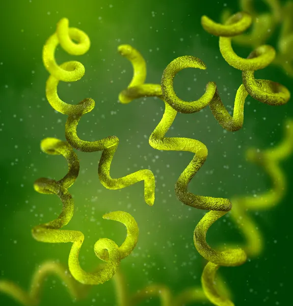 Spirochete Stock Photos, Royalty Free Spirochete Images | Depositphotos