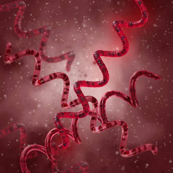 Spirochetes Gram Stain