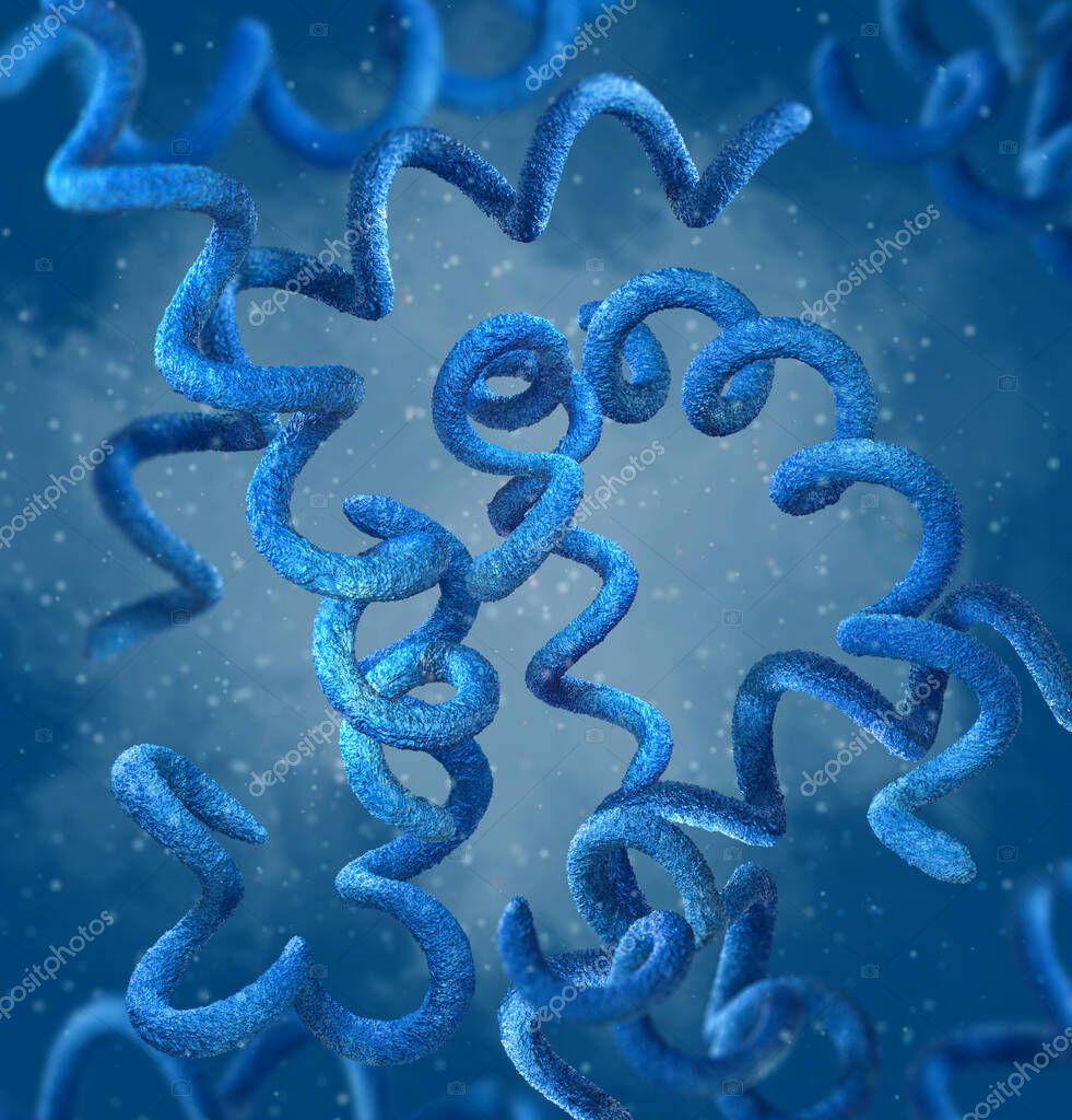 Antecedentes médicos, bacterias espiroquetas unicelulares gram-negativo ...