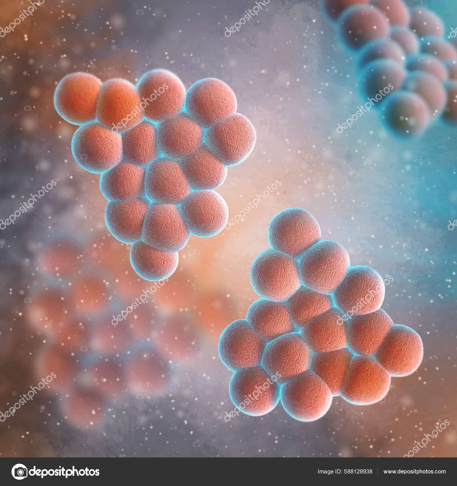 Medical Background Staphylococcus Bacteria Gram Positive Aerobic ...